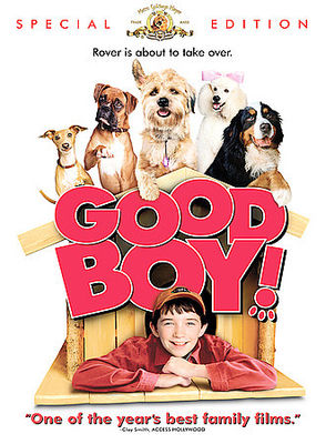 Good Boy! DVD Liam Aiken Jim Henson Molly Shannon 27616902825| eBay