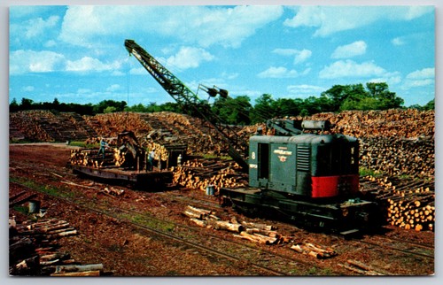 Wisconsin~Loading Pulpwood for Transport to Paper Mills~1960s Postcard ...