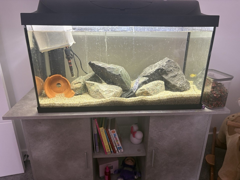 110 Litre Fish Tank And Stand 2x1x1 aquarium | eBay UK