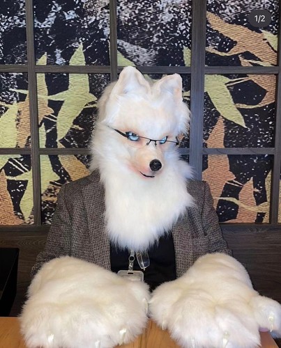 Fursuit dog handmade Furry Costume [head and paws and tail] | eBay