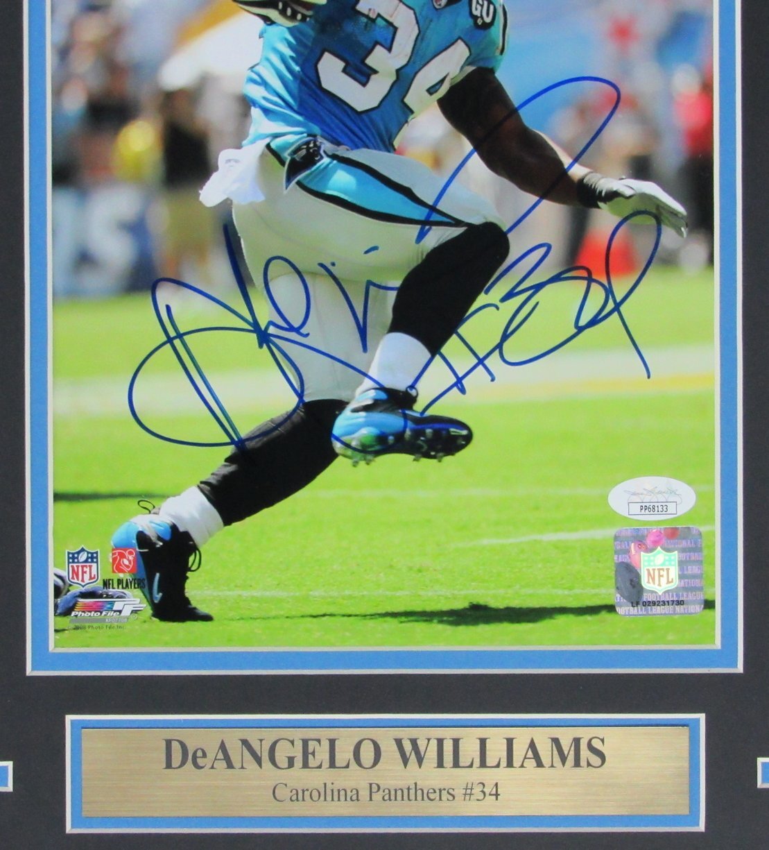 DeAngelo Williams Carolina Panthers Signed/Auto 8x10 Photo Framed JSA ...