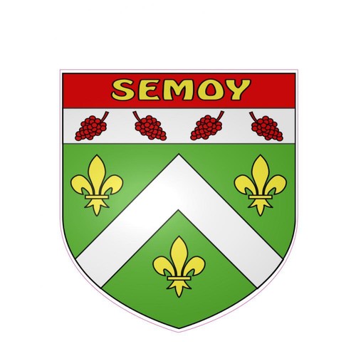 Semoy 45 ville Stickers blason autocollant adhésif | eBay