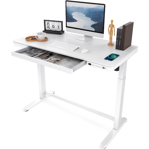 FLEXISPOT 48" Height Adjustable Office Standing Desk Computer Desk with ...