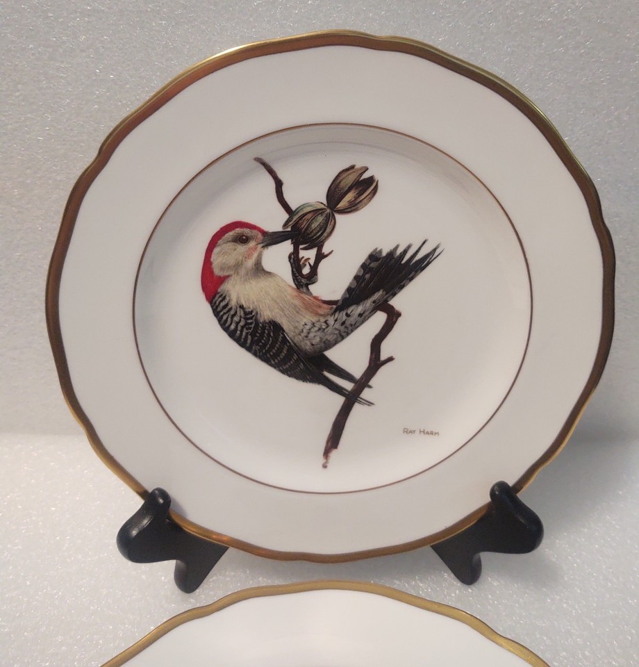 Set Of 5 Spode Ray Harm American Songbird Series 9” Plates | eBay