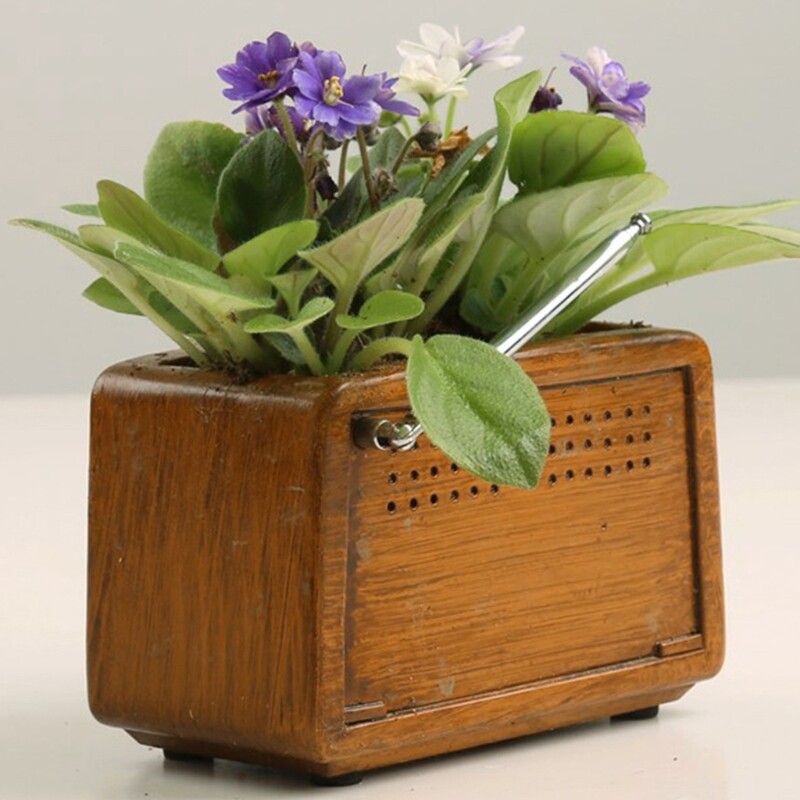 Retro for Creative Radio Flower Flower Succulent Flower Plant Cont ...