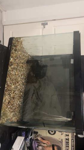 Aquarium Fish Tank | eBay UK