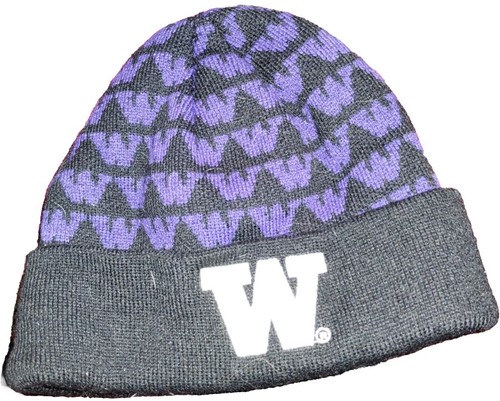 University Of Washington BECU Beanie | eBay