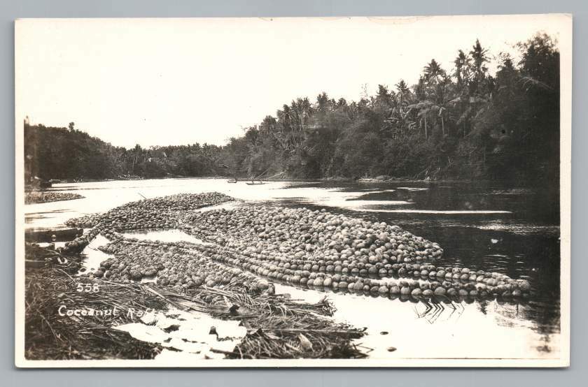 Coconut Raft~Malaysia RPPC Rare Antique Photo Postcard 1930s | eBay