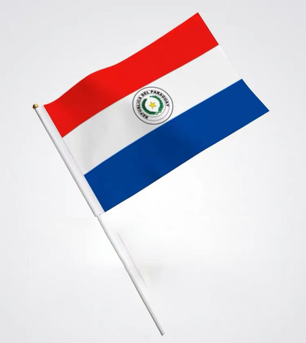 2PCS 30x45cm Paraguay Flag Both Sides Large Hand Waving Outdoor Flag On ...