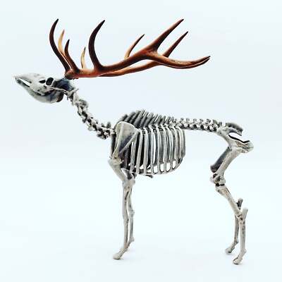 Red Deer Skeleton 1:18 scale miniature diorama replica curiosities (1 ...