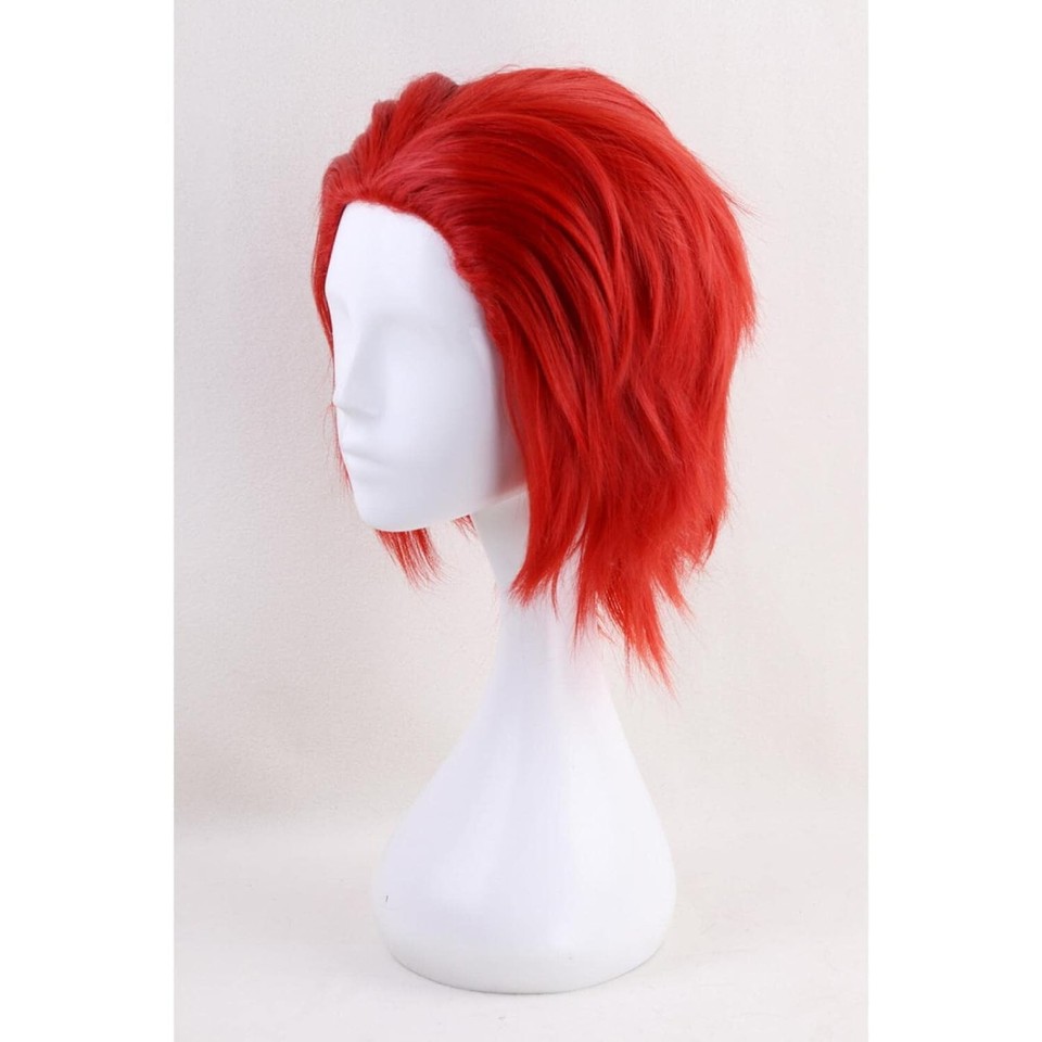 Red Shag Costume wig cosplay anime stage party shaggy hero hair male ...