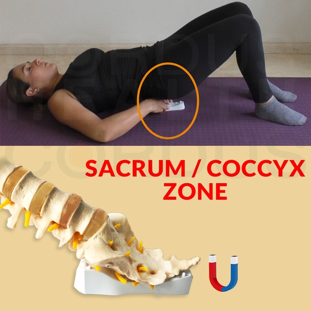 Sacrus for Sciatica Scoliosis Herniated Discs Extended English Manual ...