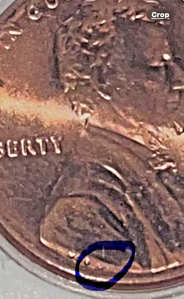 2023 VDB Extra V Lincoln Shield Cent, Circulated 1 Cent Penny VDB V | eBay