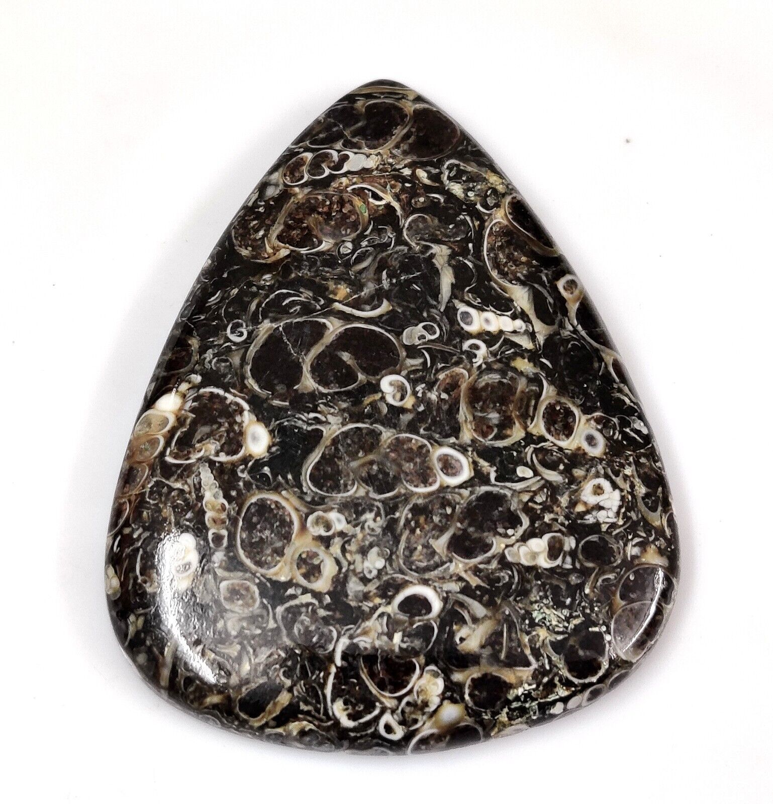 100% Natural Turtella Jasper Pear Cabochon 56X43 MM Hand Polish ...