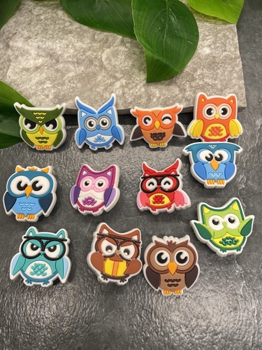 12 PC 1" Cute Cartoon Owl Shoe Decoration Charms-Clogs Jigs Bubble ...