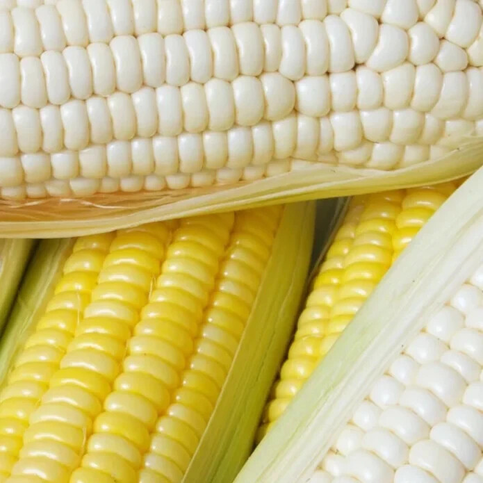 50pcs Sweet White Corn Seeds - Heirloom, Sweet, Open-Pollinated, Non ...