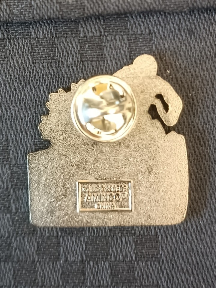 2010 WINTER VISA OLYMPIC GAMES PIN Milano Cortina 2026 | eBay UK