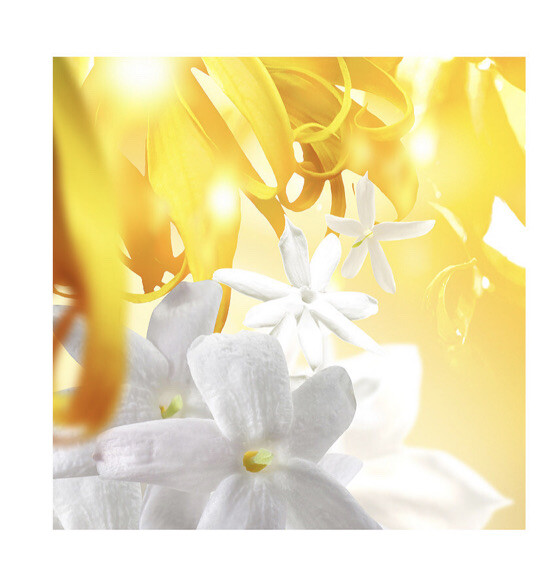 Bvlgari Omnia Golden Citrine Limited Edition Omnialandia EDT 2.2 oz ...