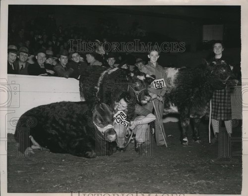 1940 Press Photo of Barbara Whitaker with her cow Silverspoon Jo Jo ...