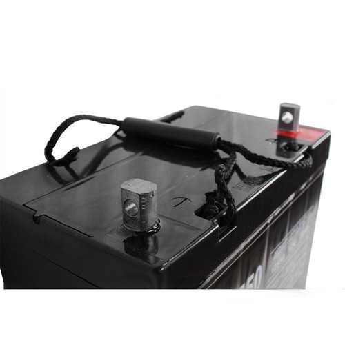 UPG 12 Volt 55 AmpH SLA Battery Replaces 8A22NF | eBay