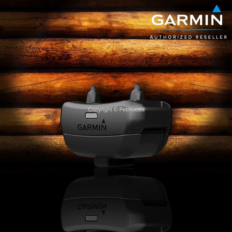 Garmin Delta SE 2-Dog Collars Remote Training System | eBay