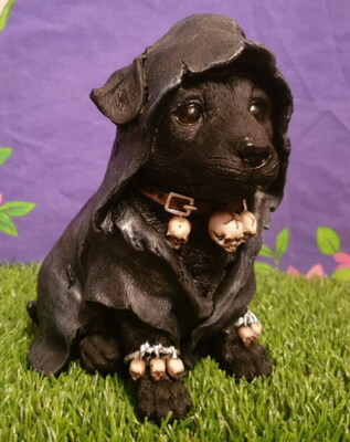 Gothic Black DOG Witch 18cm figurine | eBay Australia