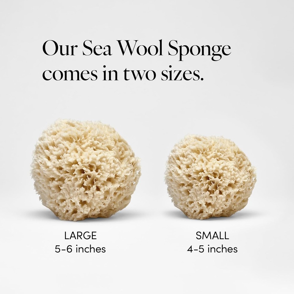 LATHER - Natural Sea Wool Sponge, 5-6" - Organic Exfoliating Body ...