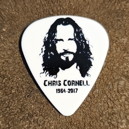 Chris Cornell Facsimile Memorial Guitar Pick - Set Of 10 | eBay