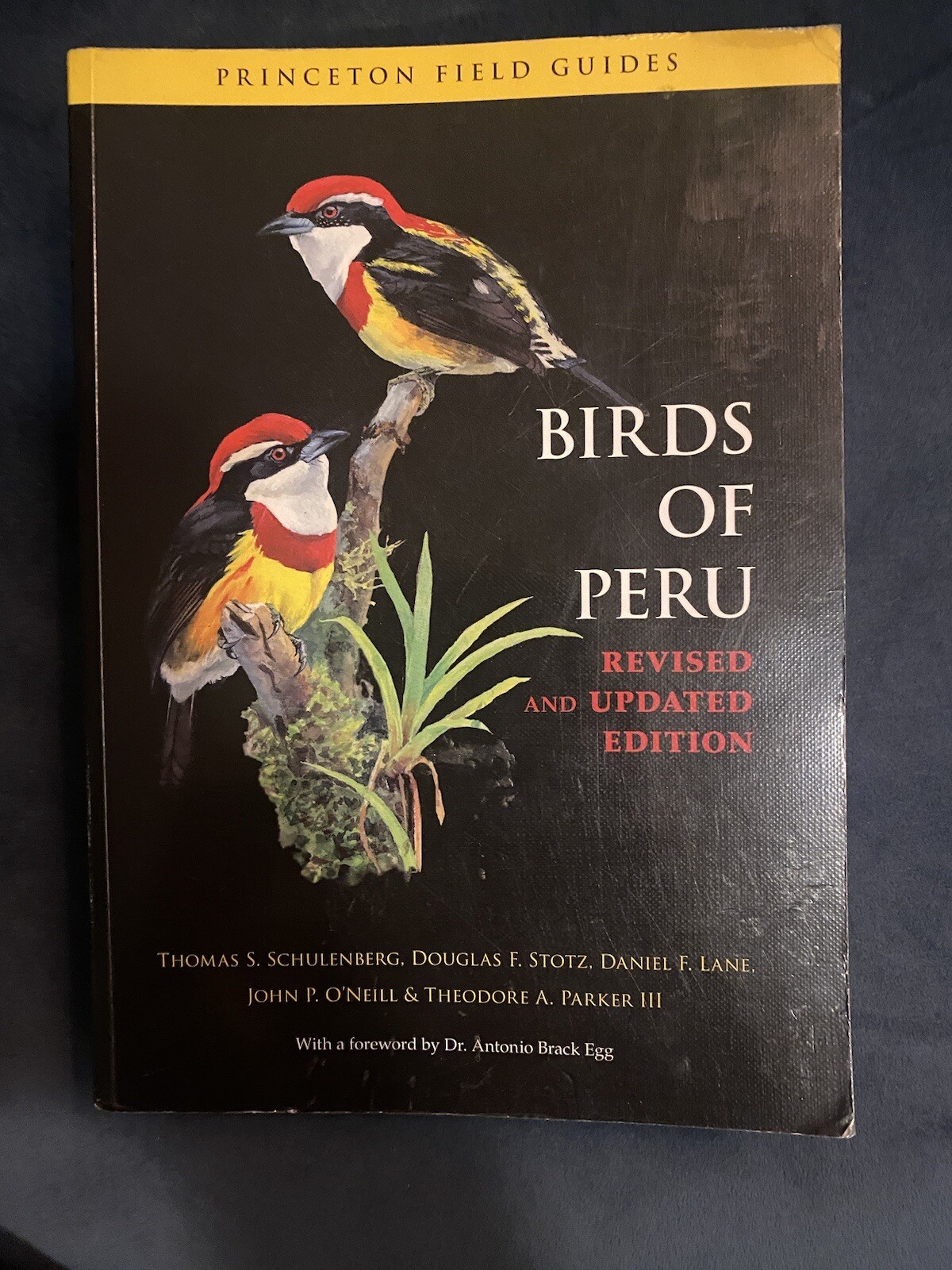 Princeton Field Guides: Birds of Peru : Revised and Updated Edition by ...