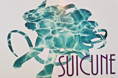 Suicune - Pokemon Wall Art Print High Gloss 11 in x 17 in | eBay