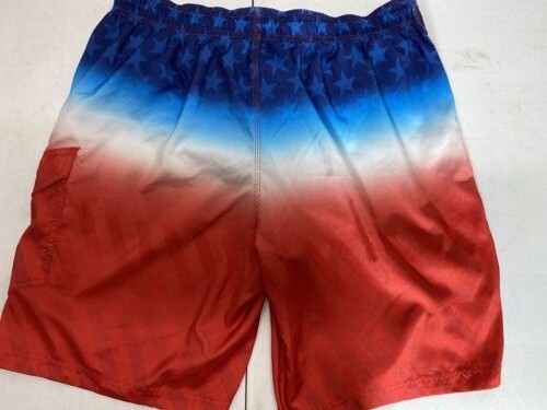 SPEEDO Swim Trunks Board Shorts American USA Flag Ombre Fade Patriotic ...