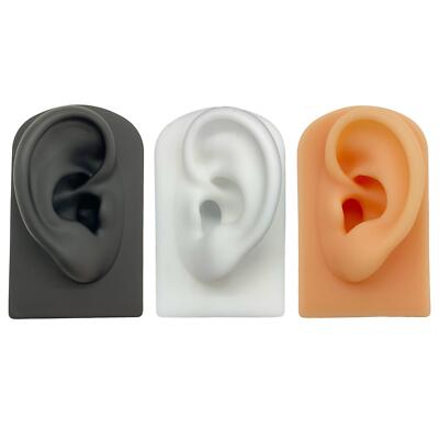 Ear Model Props Silicone Model Tool Exercises Earring Ear | eBay Australia