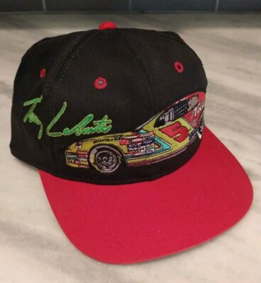 Vtg Chase Racewear Terry Labonte Kellogg’s Frosted Flakes Car Patch ...