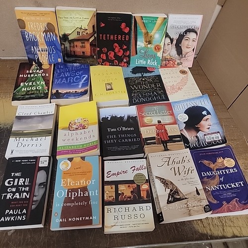 Lot of 51 Large Trade Literature Fiction Paperback BestSeller UNSORTED ...