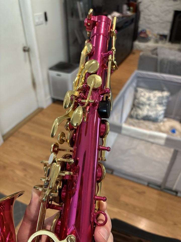 EASTROCK Alto Saxophone Bb Pink/Golden with Case, Mouthpiece, Reed, Kit ...
