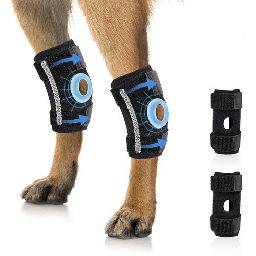 Pet dog leg protection, joint protection, knee protection, patella ...