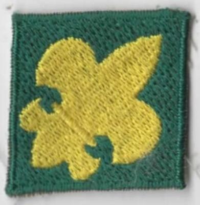 International Scout Badge GREEN Bdr. (GLUE ON BACK) [INT372] | eBay