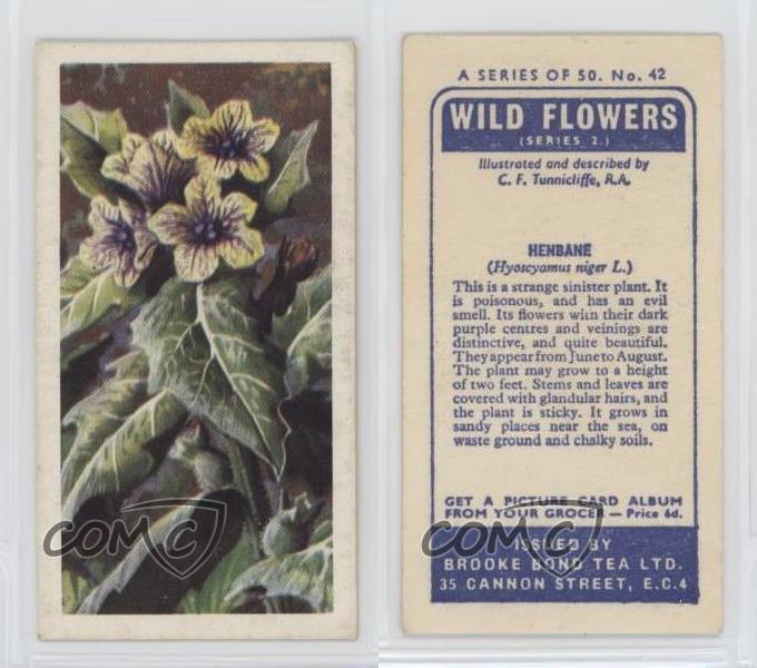 1959 Brooke Bond Wild Flowers Series 2 Wood Anemone #2 2p7 | eBay