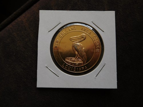 EG SCOUT BSA 1970 NEW ORLEANS AREA COUNCIL LA BOYPOWER MANPOWER ROUNDUP ...