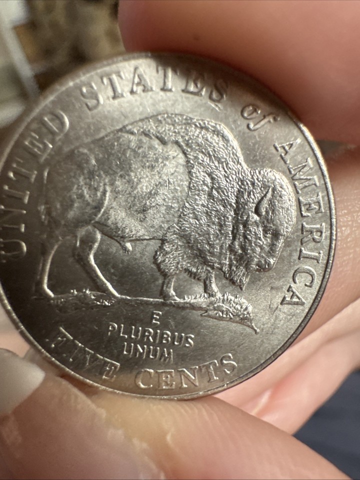 2005-P Jefferson Buffalo Bison Nickle 5 c Five Cent Coin Nickel Rare ...