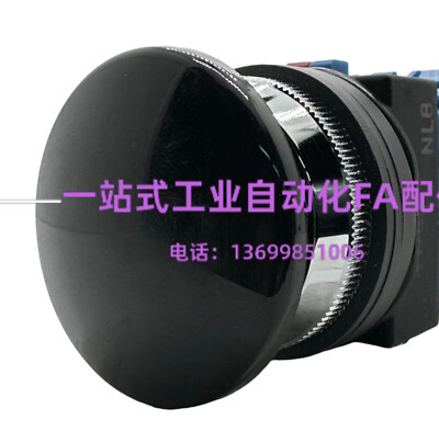 1pcs IDEC Mushroom head push button switch 30mm ABN302B 2NC | eBay