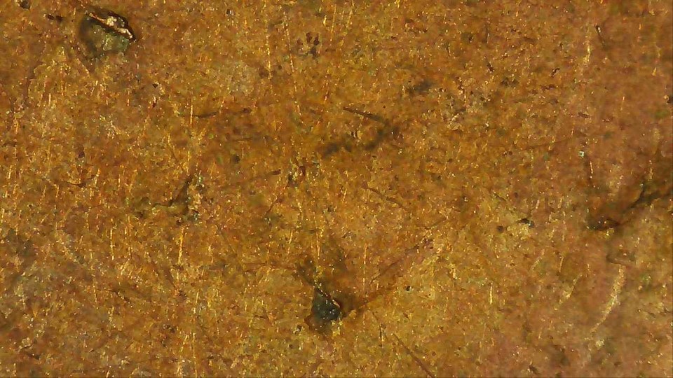 1944-S Lincoln Cent – Extra Leaf + Die Crack + Gouge + Delamination ...