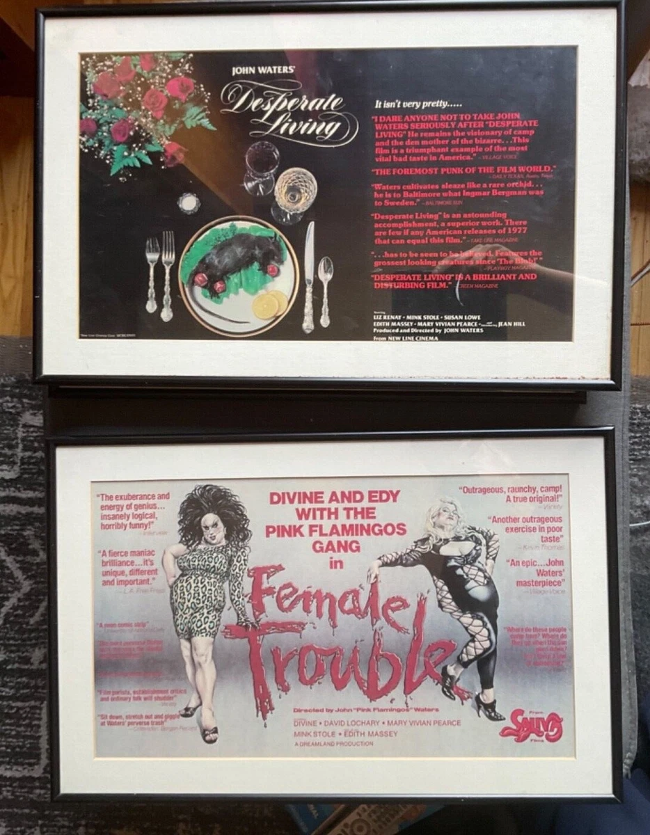 Desperate Living Poster