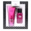 Victoria's Secret 2 Piece Gift Set Body Mist Spray Splash Fragrance ...