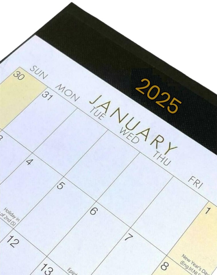 2025 MONTH TO VIEW MEDIUM PLANNER QUALITY CALENDER WALL RIBBON HANGING ...