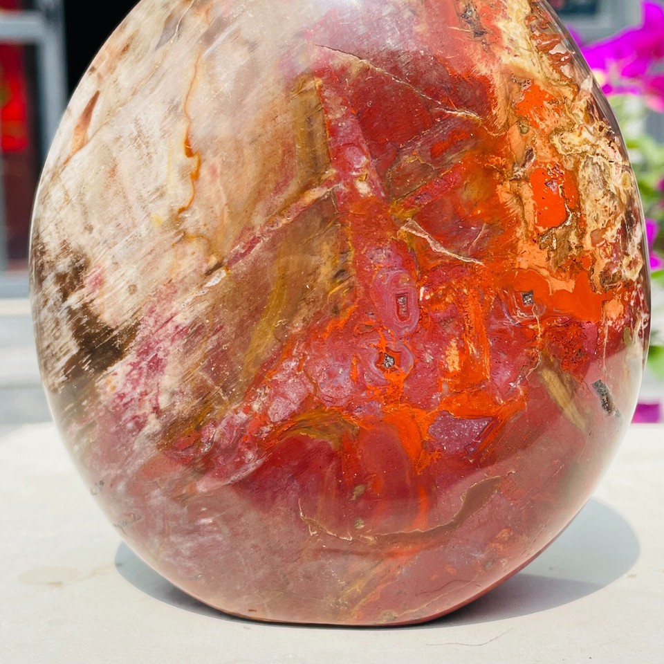 2.55LB Natural Red Petrified Wood Fossil Crystal Landscape Stone ...
