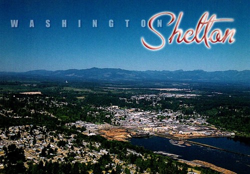 Shelton Washington Postcard | eBay