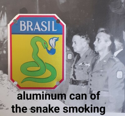 WW2 BRAZIL ITALY PLATE PATCH ALUMINUM F.E.B. SNAKE SMOKING US 5TH ARMY ...