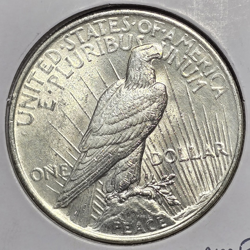 1922 LIBERTY PEACE DOLLAR 90% Silver Coin - Struck Through Reed ...