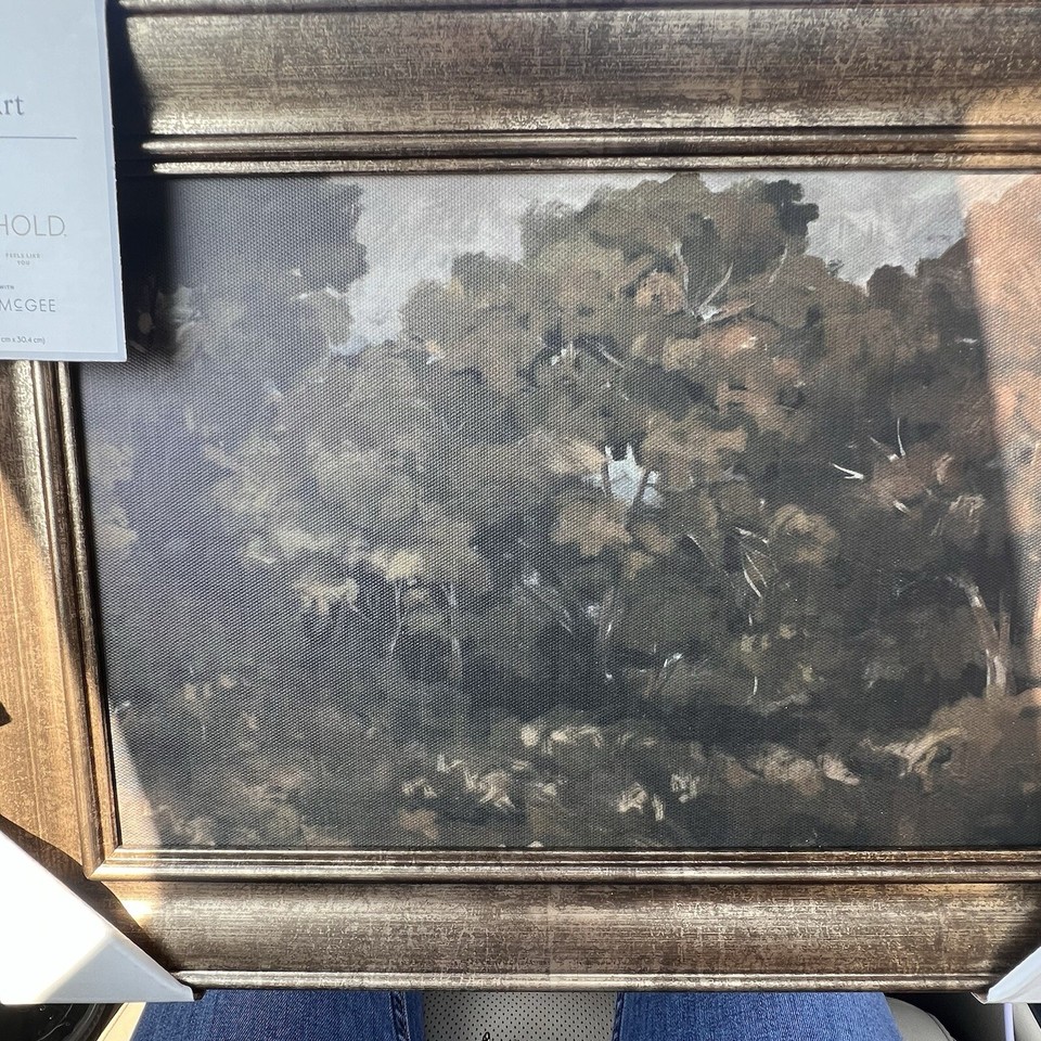 Moody Trees Framed Wall Canvas Board Threshold With Studio McGee 16”x12 ...